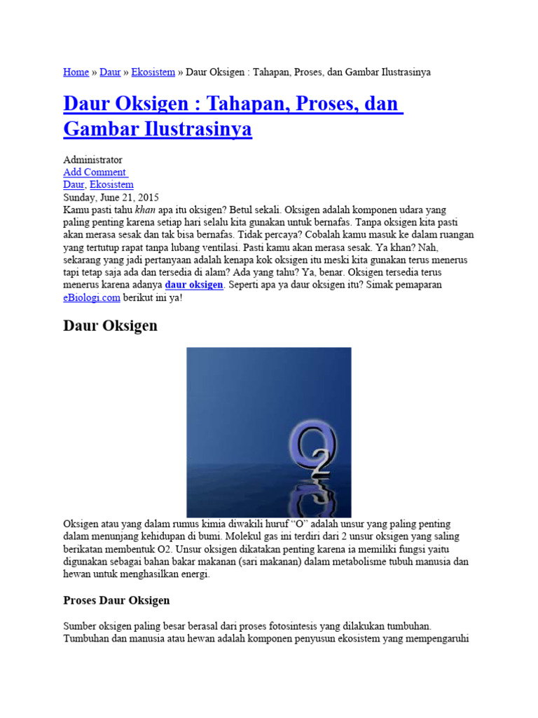 Daur Oksigen | PDF