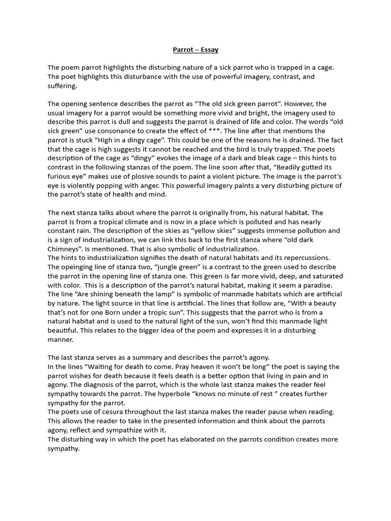 Parrot - Essay | PDF