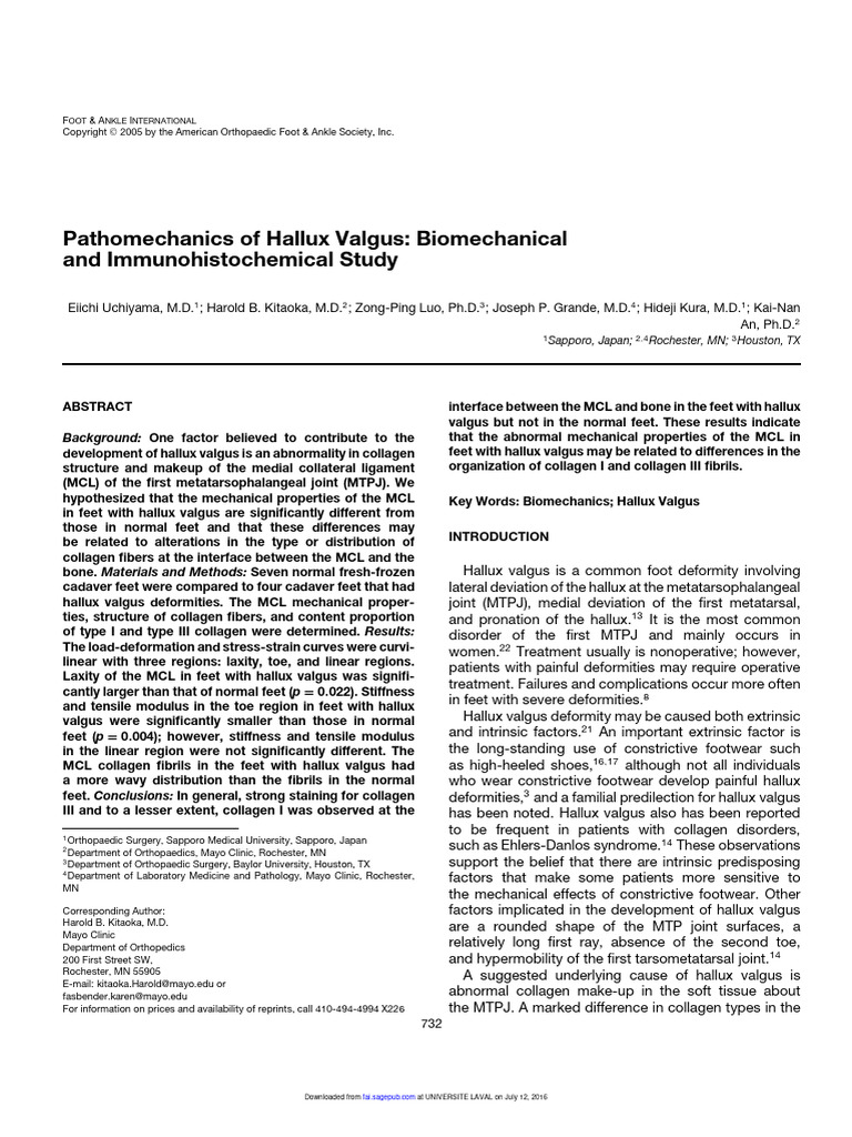 Pathomechanics of Hallux Valgus | PDF | Foot | Toe