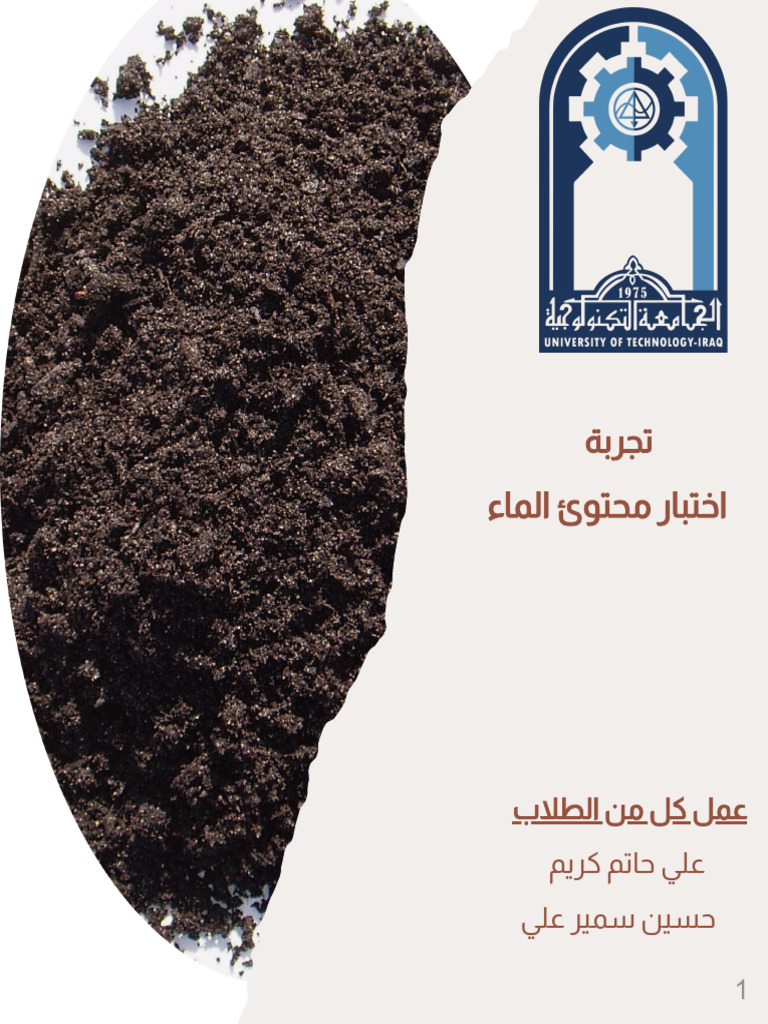 Simple Monthly Report | PDF