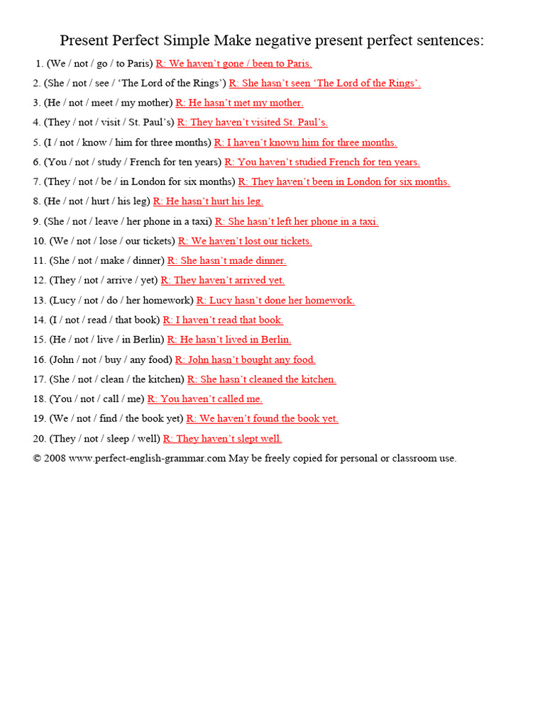 Negative Present Perfect Sentences | PDF