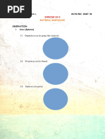 Ergi Alfheimr Guide | PDF