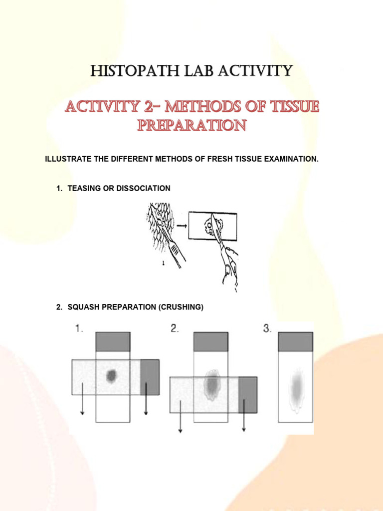 Methods of Fresh Tissue Examination | PDF | Science & Mathematics