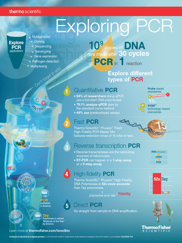 Thermo Scientific PCR Infographic | PDF | Polymerase Chain Reaction ...