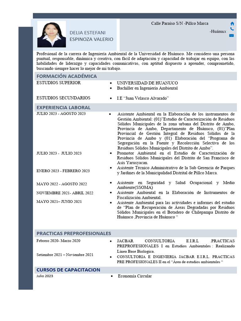 CURRICULUM VITAE - Delia Estefani Espinoza Valerio (Recuperado) | PDF | Entorno natural ...