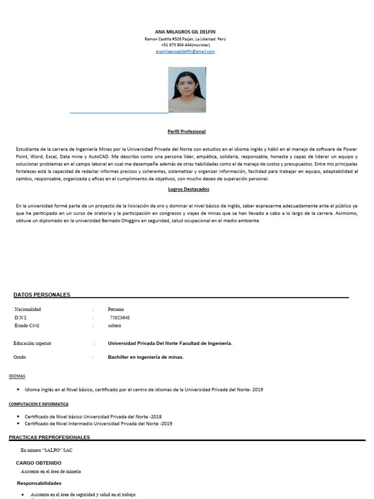 CV Milagros Gil Delfin | PDF