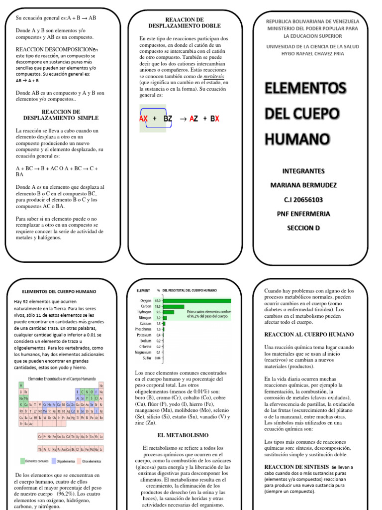 TRIPTICO QUIMICA MARIANA | PDF | Cuerpo humano | Ciencias fisicas