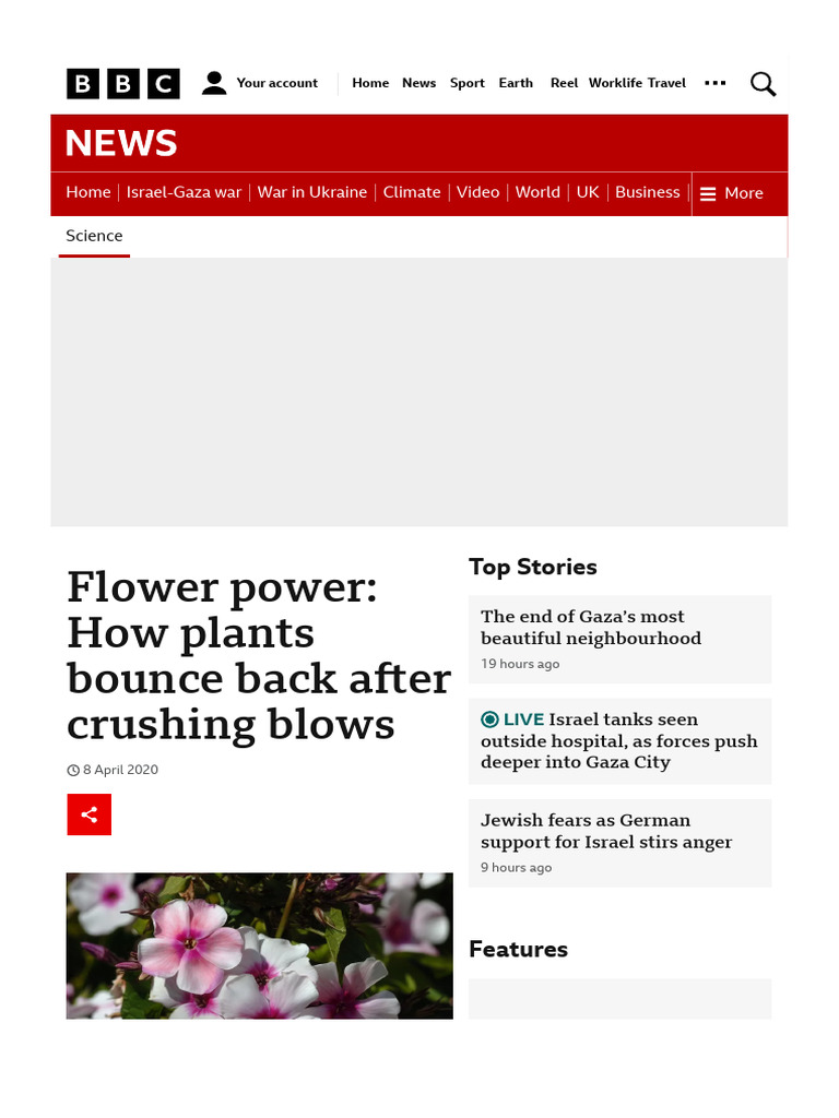 Flower Power - How Plants Bounce Back After Crushing Blows - BBC News ...