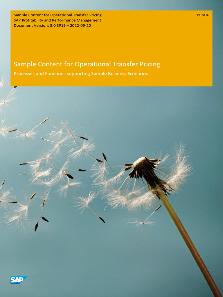 SAP Transfer Pricing Guide | PDF | Taxes | Cost