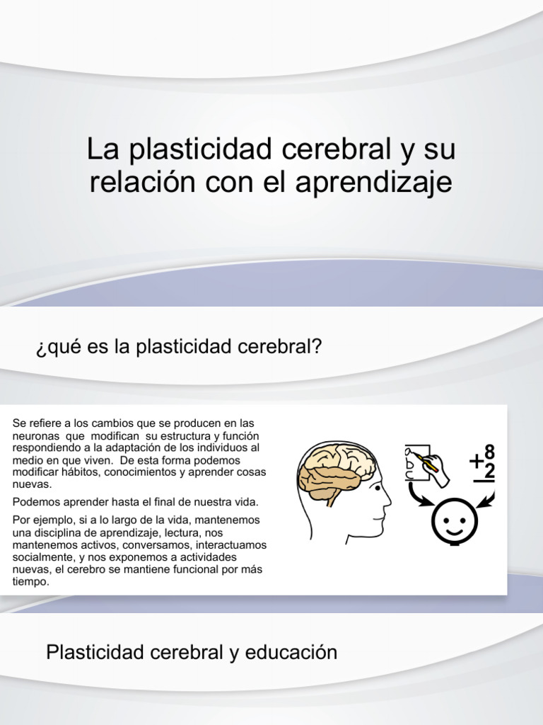 Plasticidad Cerebral | PDF | Aprendizaje | Cerebro
