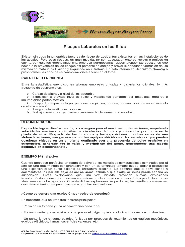 Riesgos Laborales en Los Silos | PDF | Combustión | Polvo