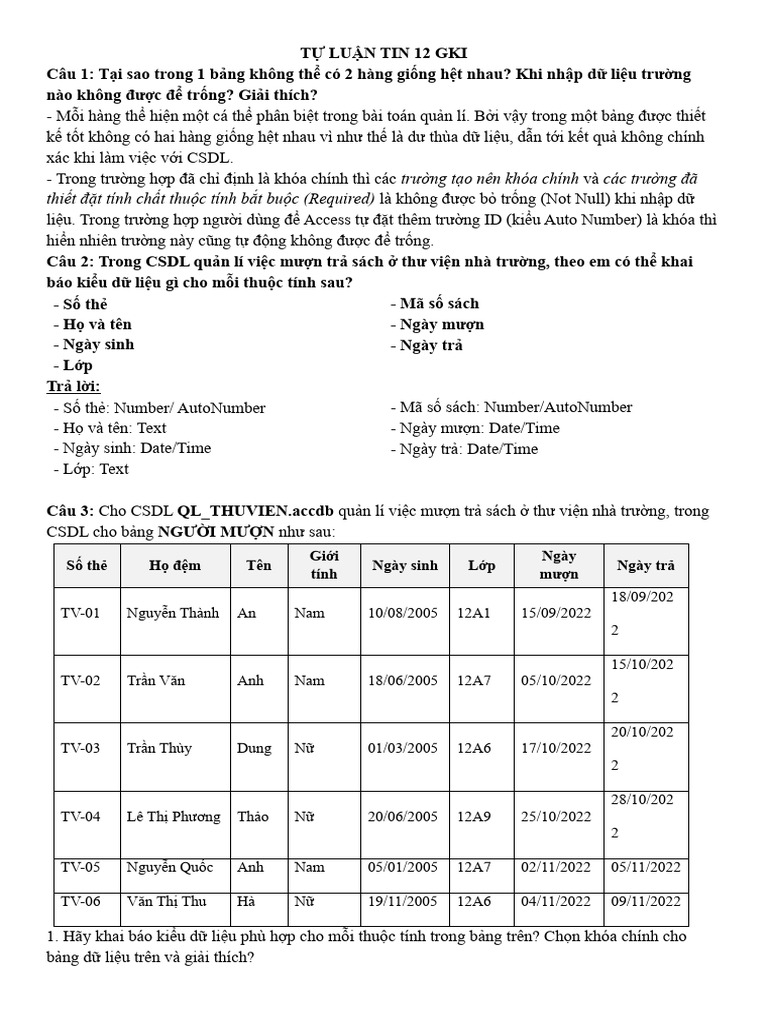 TỰ LUẬN TIN 12 GKI | PDF