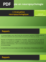 Test de Stroop Victoria : Guide d'utilisation | PDF | Attention | Vert