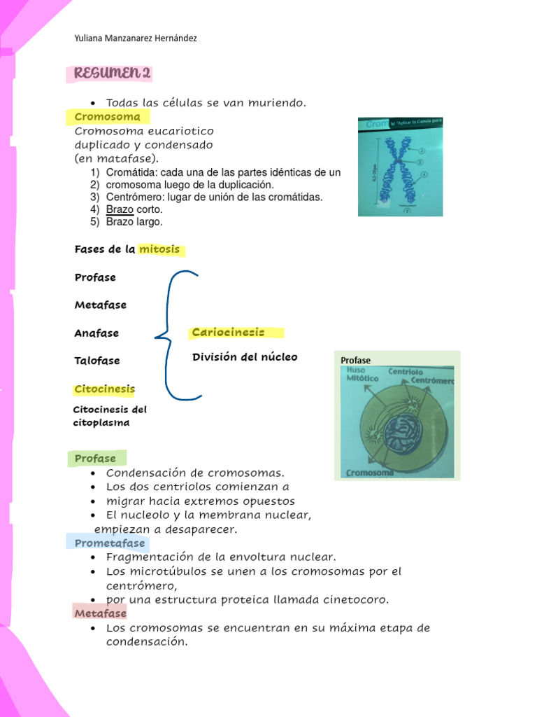 Resumen 2 Biología | PDF