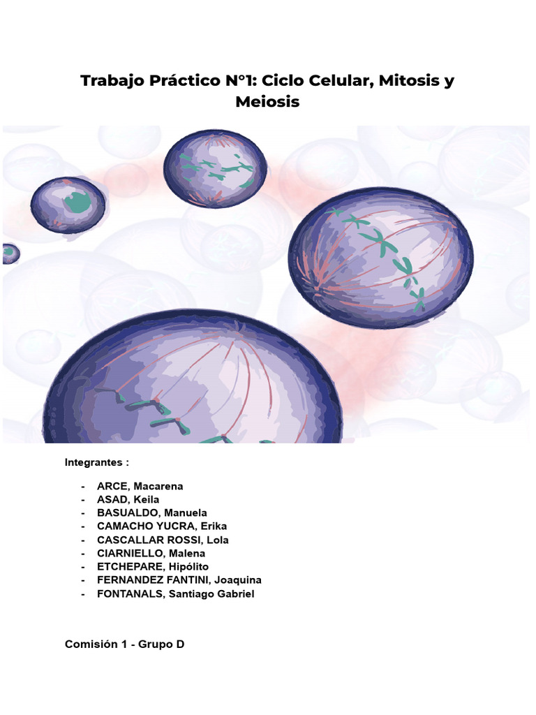 Trabajo Práctico N°1_ Ciclo Celular, Mitosis y Meiosis | PDF | Mitosis ...