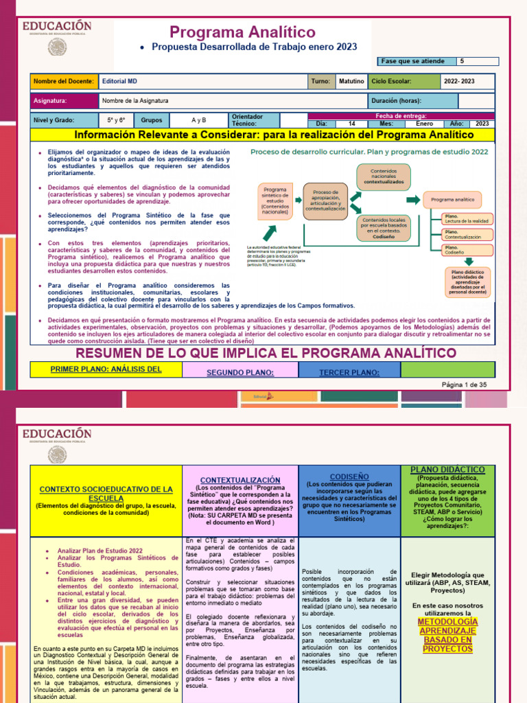 Programa Analitico (5° y 6° de Primaria) | PDF | Enseñando | Evaluación