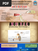 Esquema del Arco Reflejo y Componentes | PDF