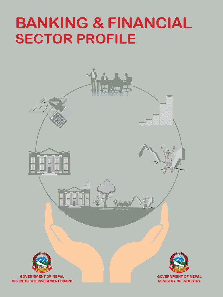 BFS Sector Profile | PDF | Securities (Finance) | Insurance