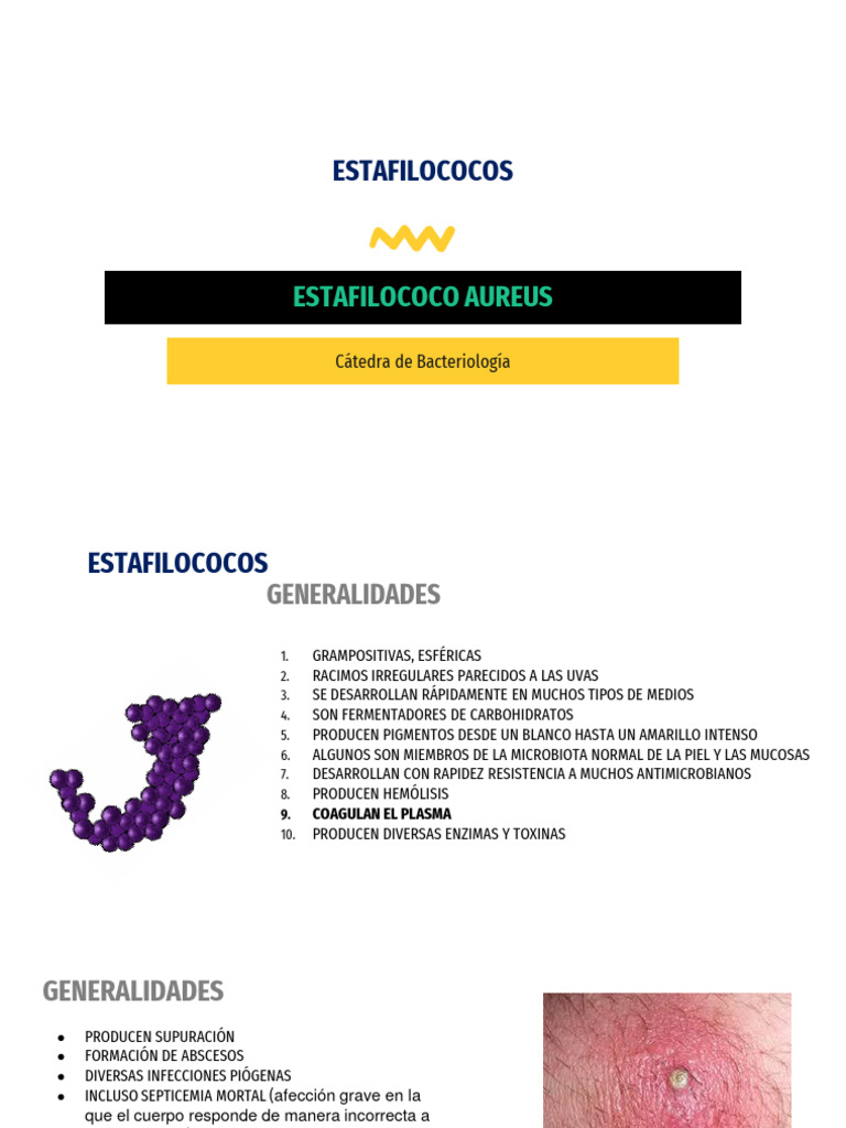 Estafilococo Act | PDF | Staphylococcus Aureus | Penicilina