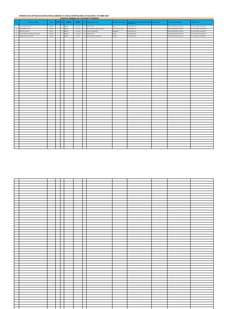 Copia de Formato CEDULA HOSPITALARIA DEL HOSPITAL DR. LUIS RAZETTI ...