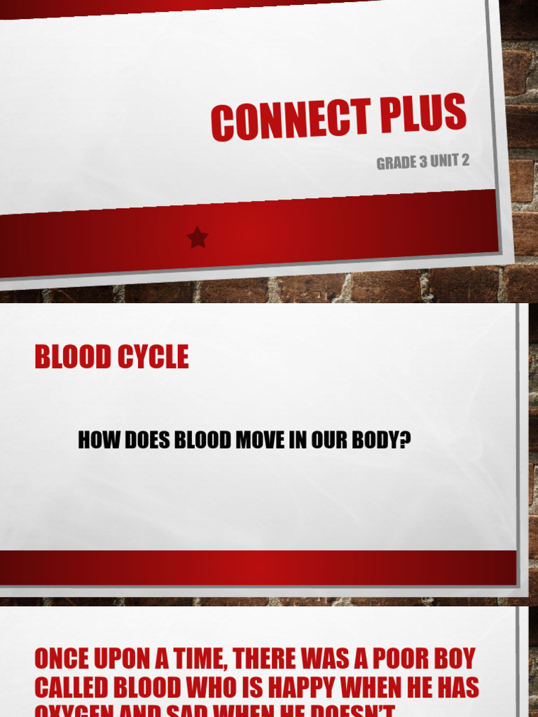 Blood Life Cycle | PDF