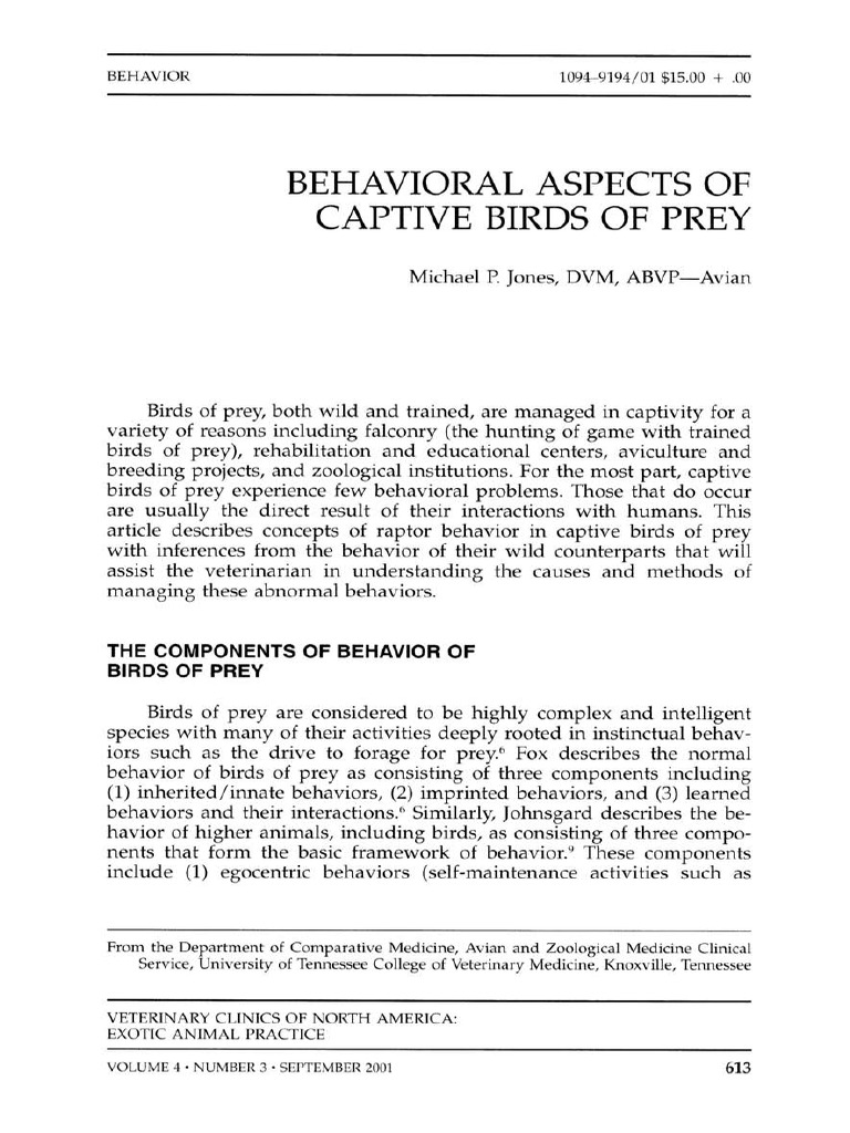 Aves de Rapina JoNES | PDF