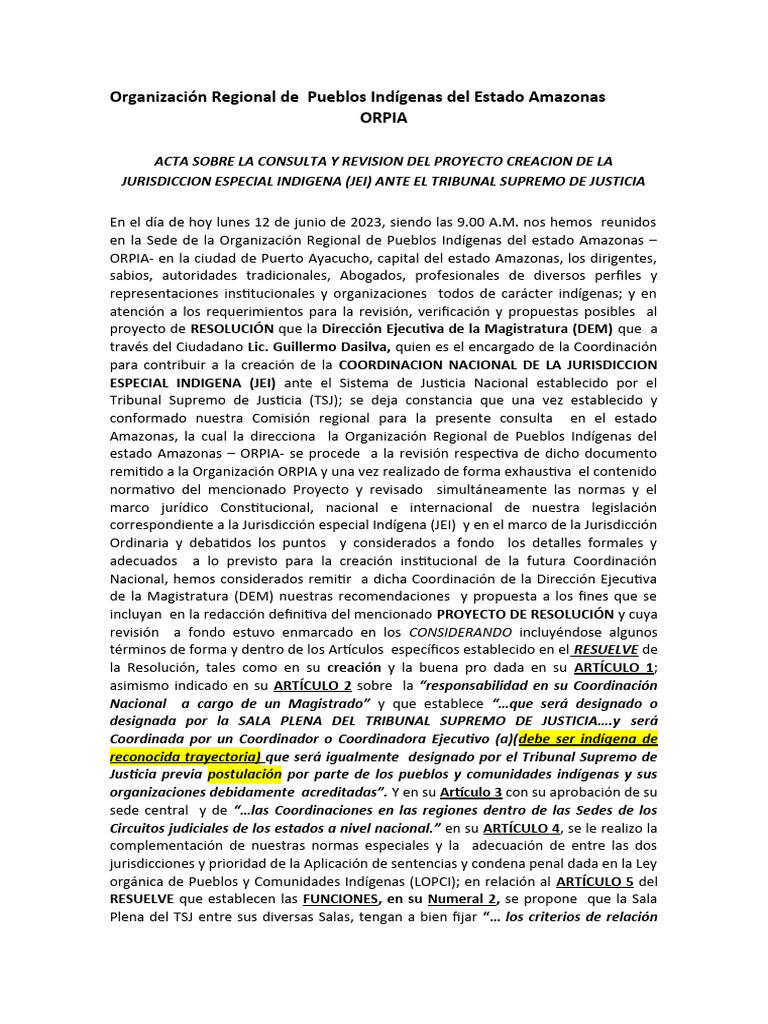 Acta de Consulta Jei - Orpia 2023 | PDF | Jurisdicción | Gobernancia