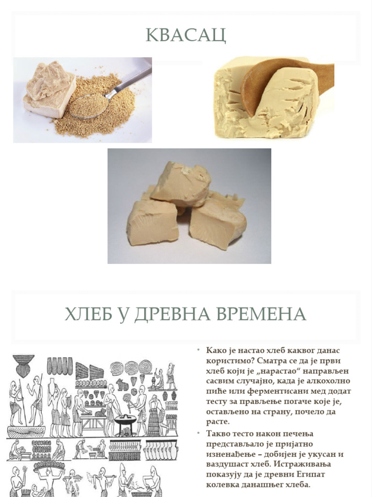 Prezentacija Kvasac | PDF