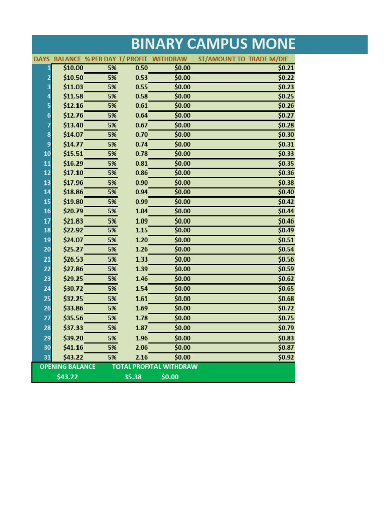 Binary Campus MANAGEMENT STRATEGY | PDF