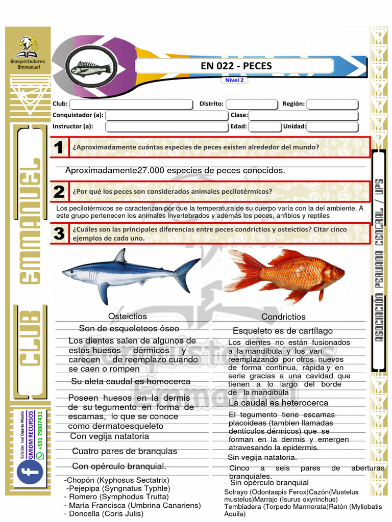 Peces | PDF | Pescado | Branquia