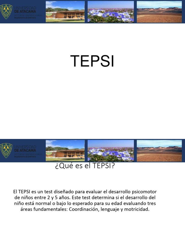 Clase 7 DSM Tepsi | PDF | Lingüística