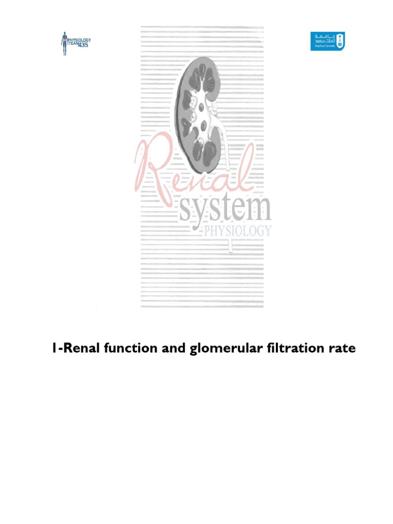 1-Renal function&GFR MCQs | PDF | Physiology | Medical Specialties