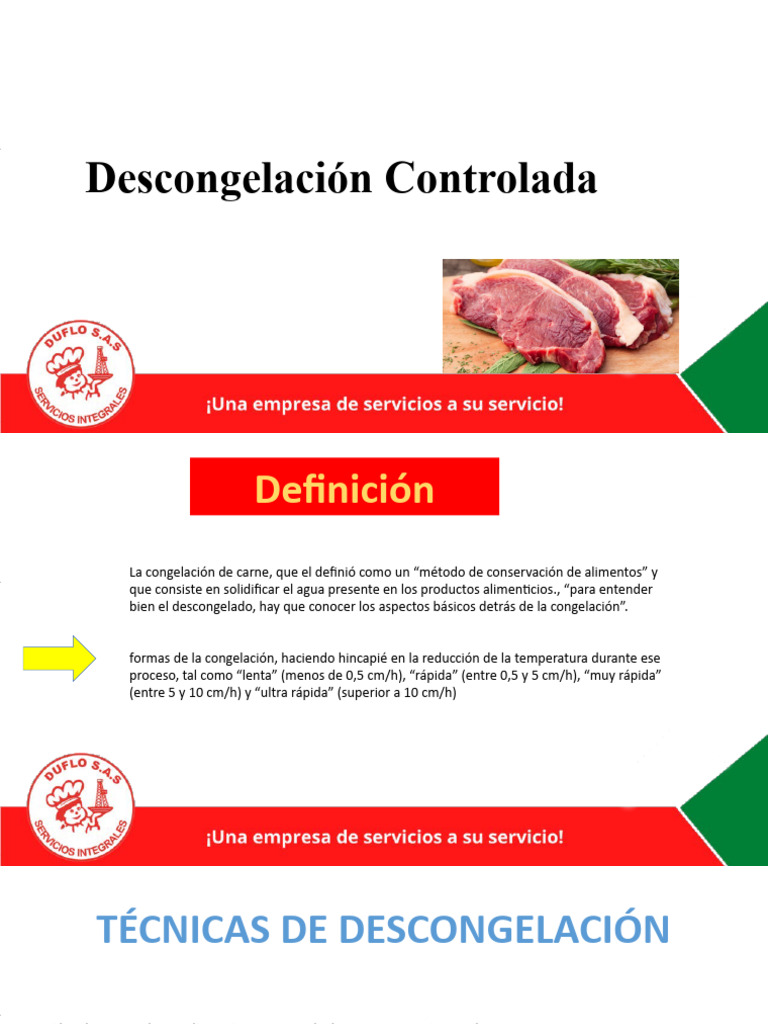 DESCONGELACION | PDF | Alimentos | Refrigerador