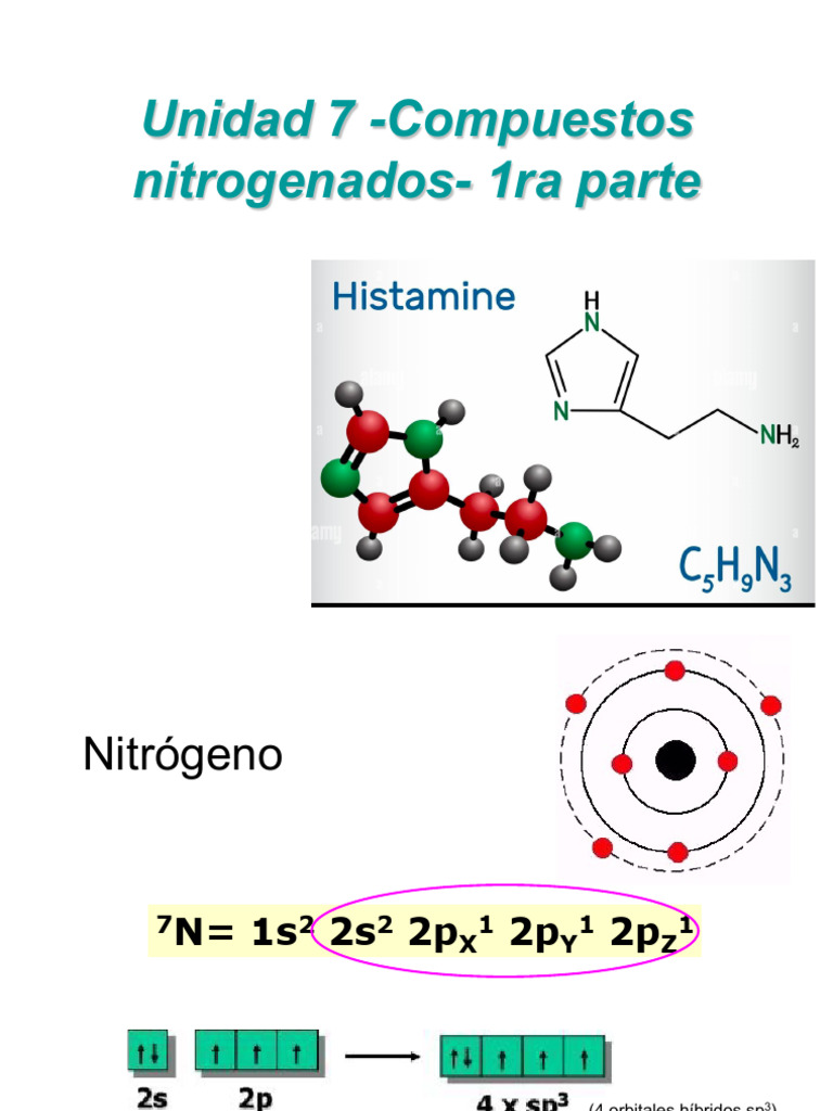 U 7 Compuestos Nitrogenados 1ra Parte 2022 Pdf Amina Amida 
