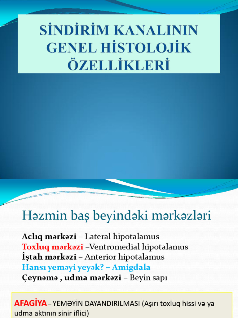 Həzm sistemi | PDF