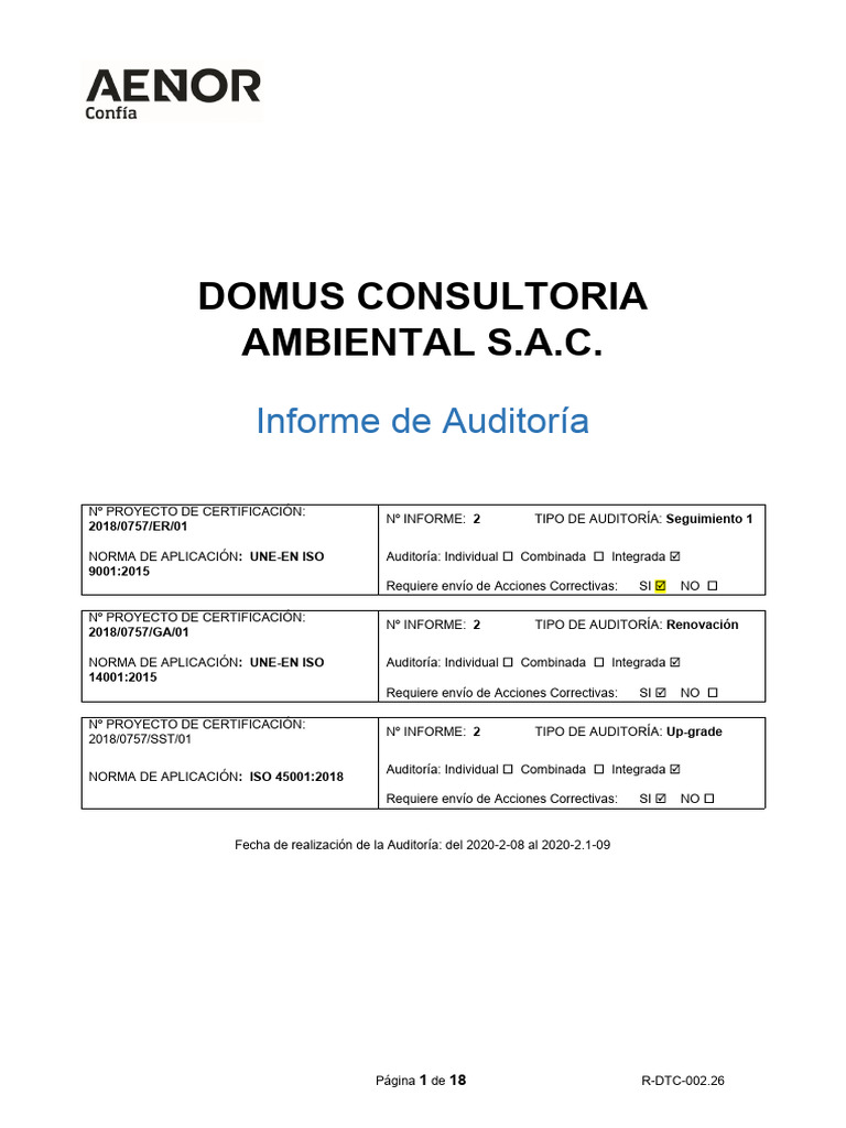 Informe Auditoría - Trinorma DOMUS - Feb 2021 - Daniel Aguilar D | PDF | Auditoría | Business