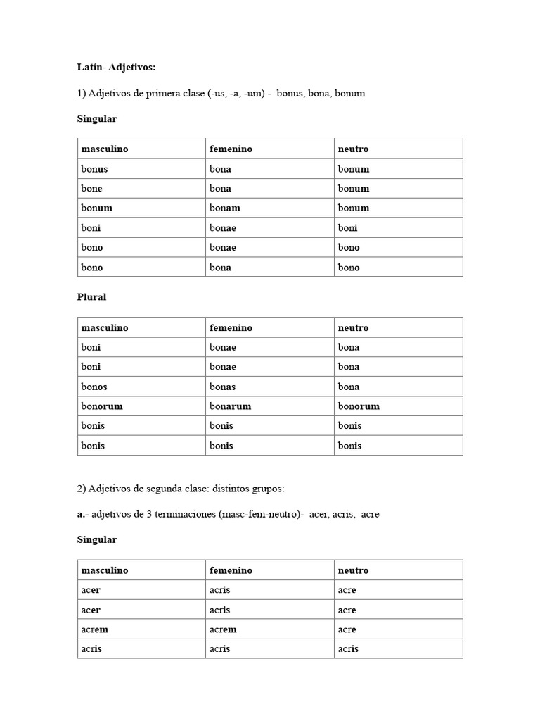 Ficha de Adjetivos - Latin | PDF | Lingüística | Morfología Lingüística