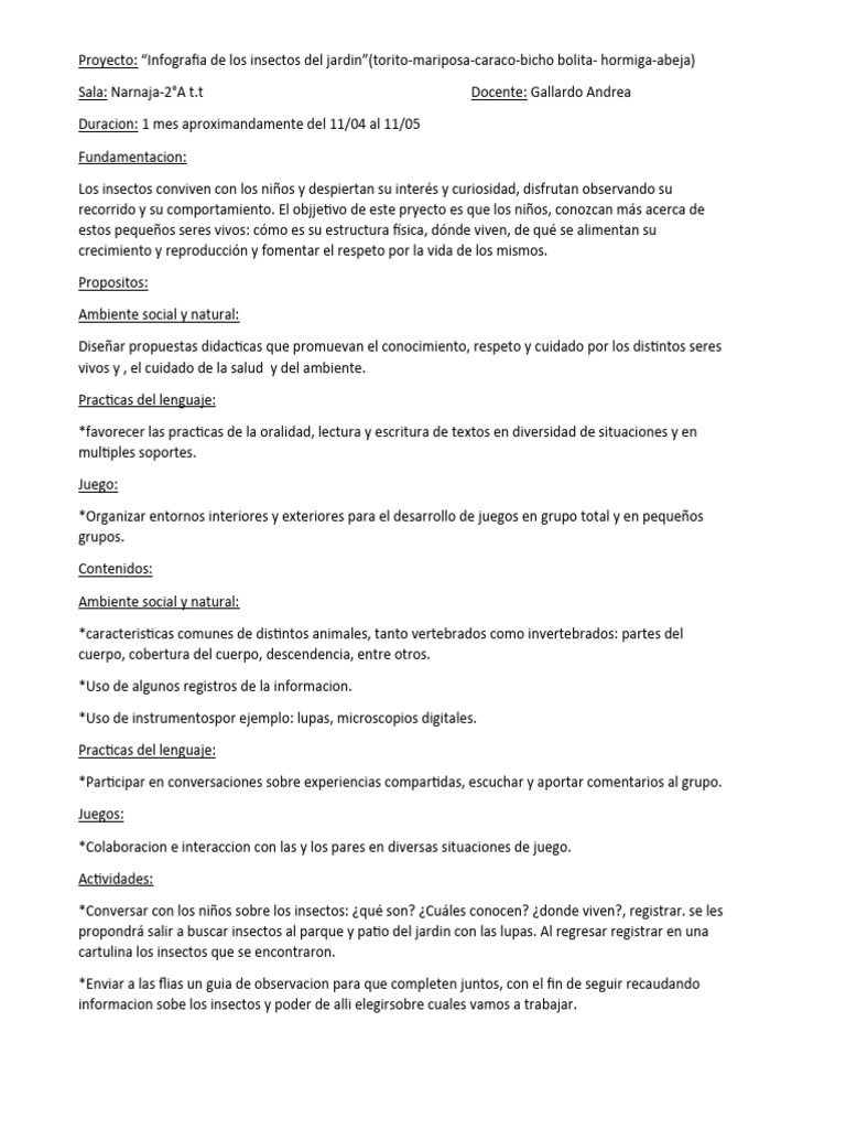 Proyecto Insectos | PDF | Cuentos | Retrato