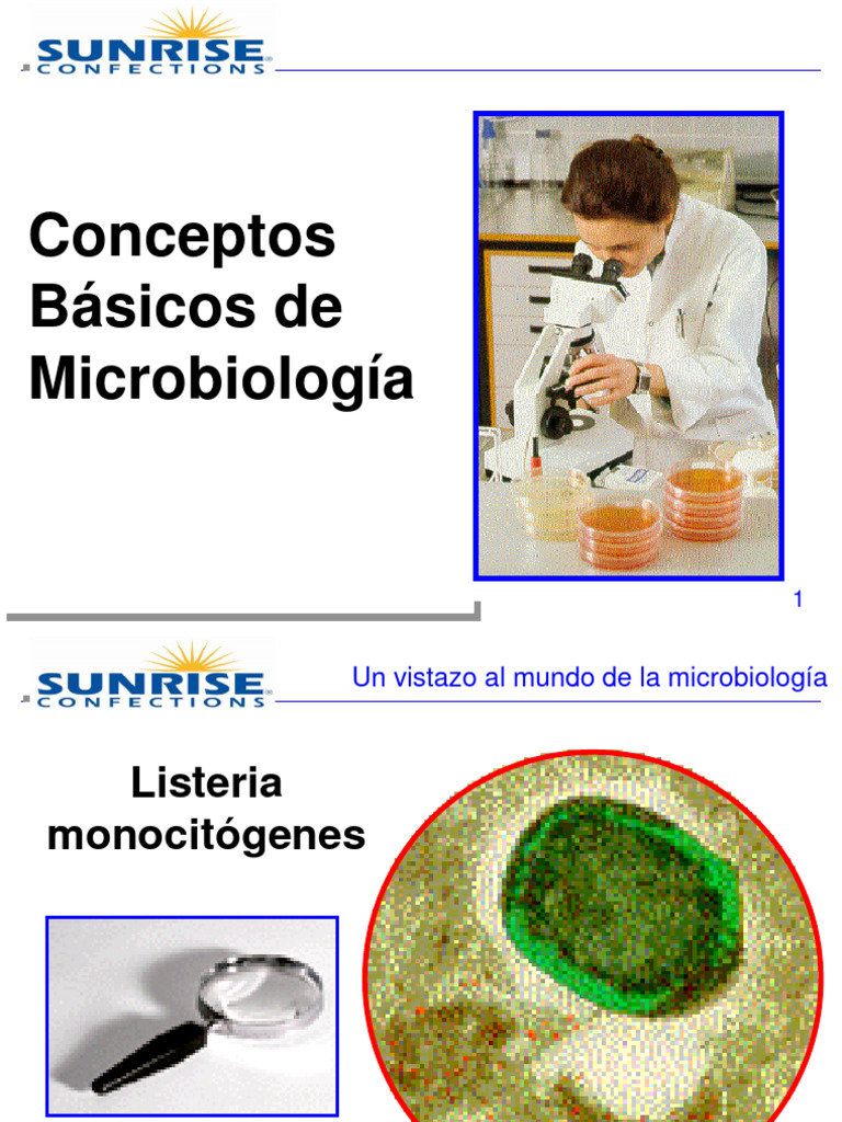 Conceptos Basicos de Microbiologia | PDF | Las bacterias | Biología Celular)