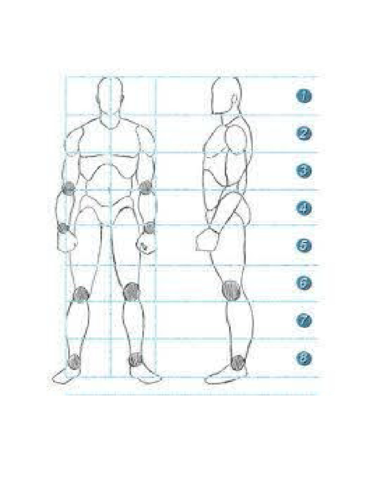 Dibujo Del Cuerpo Humano Pdf