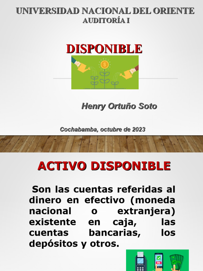 Auditoría del Activo Disponible en Finanzas | PDF | Bancos | Efectivo
