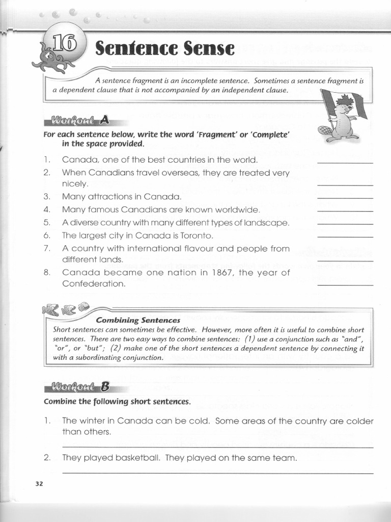 16. Sentence Sense | PDF