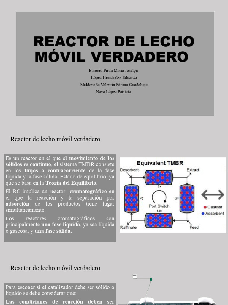 Reactor de Lecho Móvil Verdadero | PDF | Adsorción | Reactor Quimico