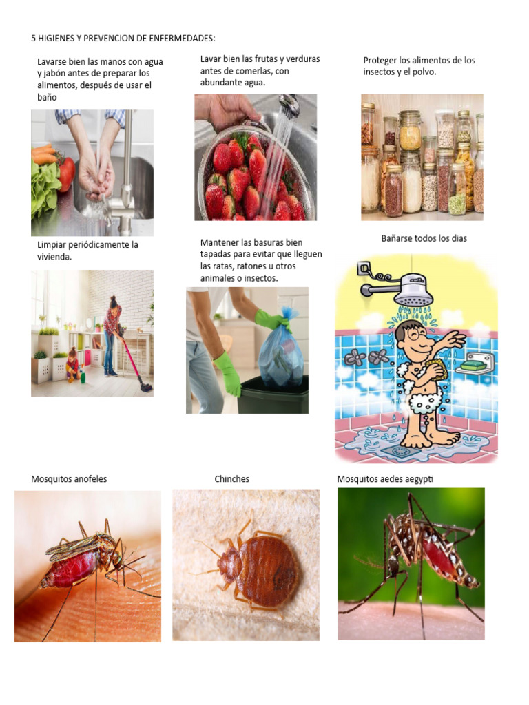 Higiene y Prevención de Enfermedades | PDF | Ciencia y matemáticas