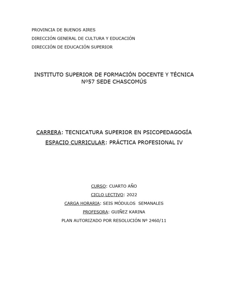 Programa Practica Profesional IV 1 | PDF | Evaluación | Maestros