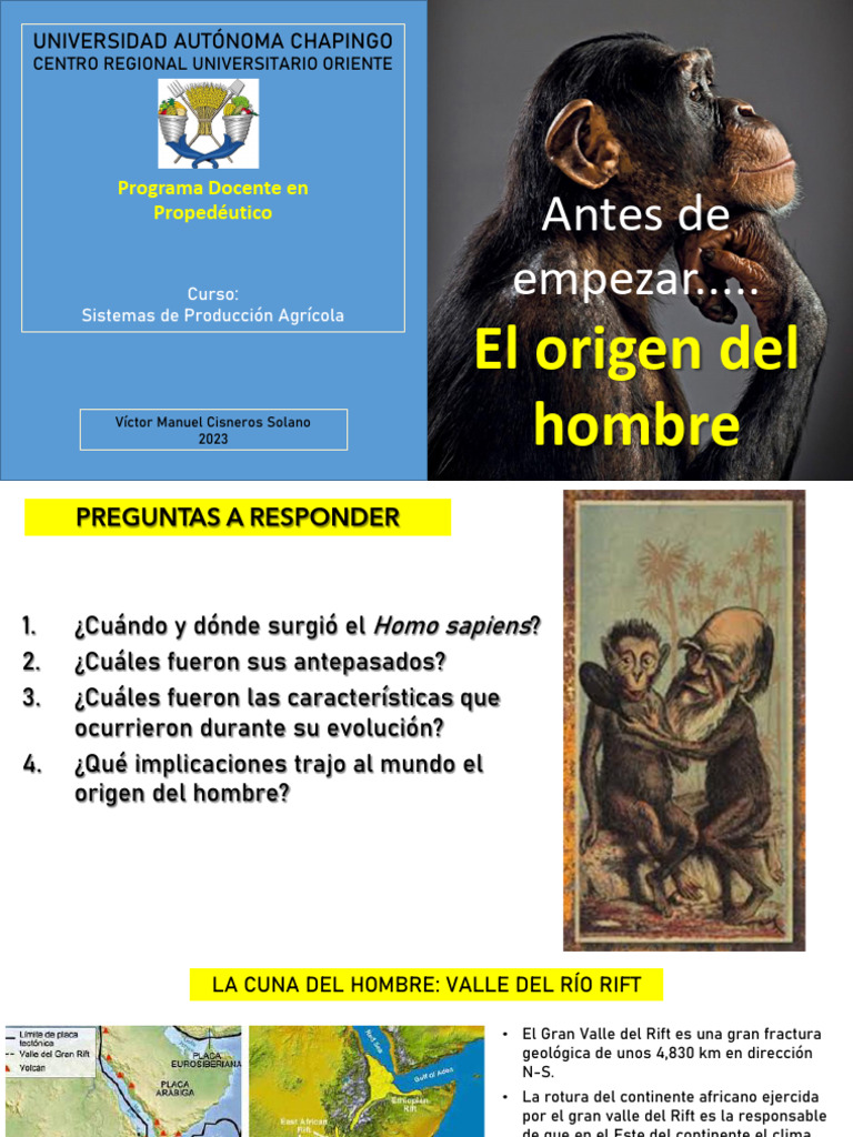 01-El Origen Del Hombre | PDF | Homo | Humano