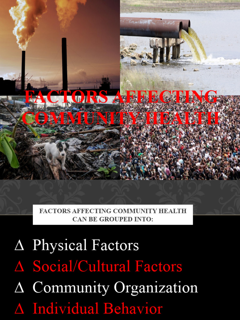 Factors Affecting Community Health | PDF | Medical Specialties | Public ...