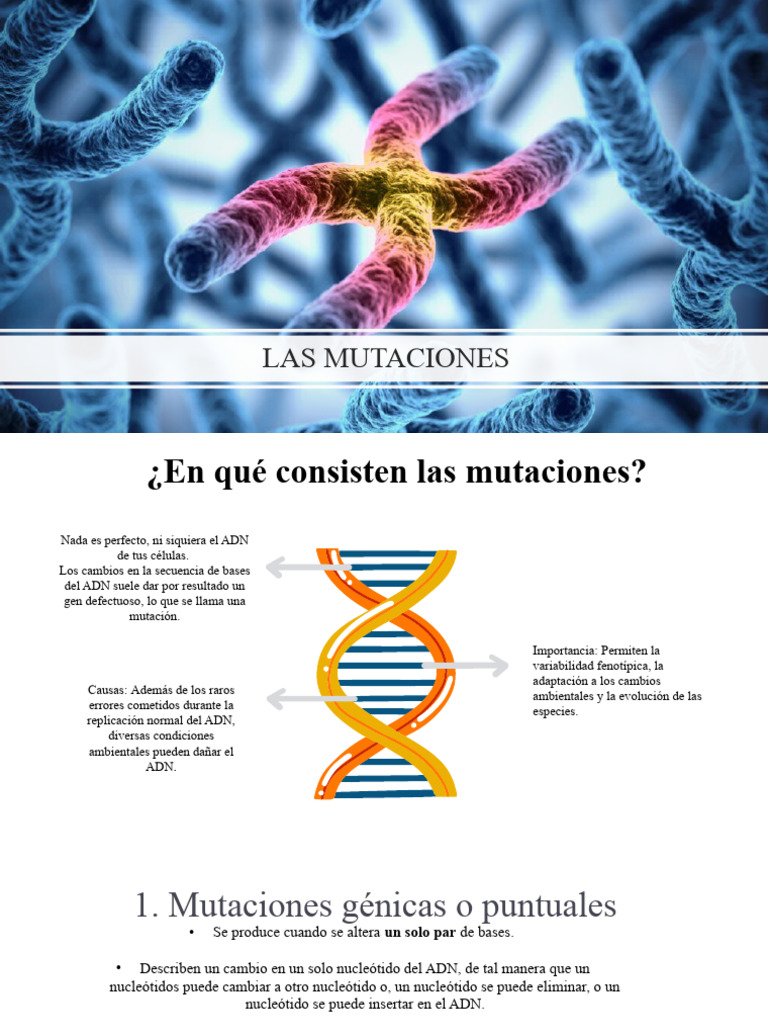 Las Mutaciones | PDF | Mutación | Adn