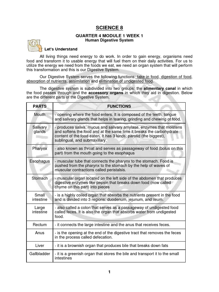 Science 8: Quarter 4 Module 1 Week 1 | PDF | Human Digestive System | Digestion