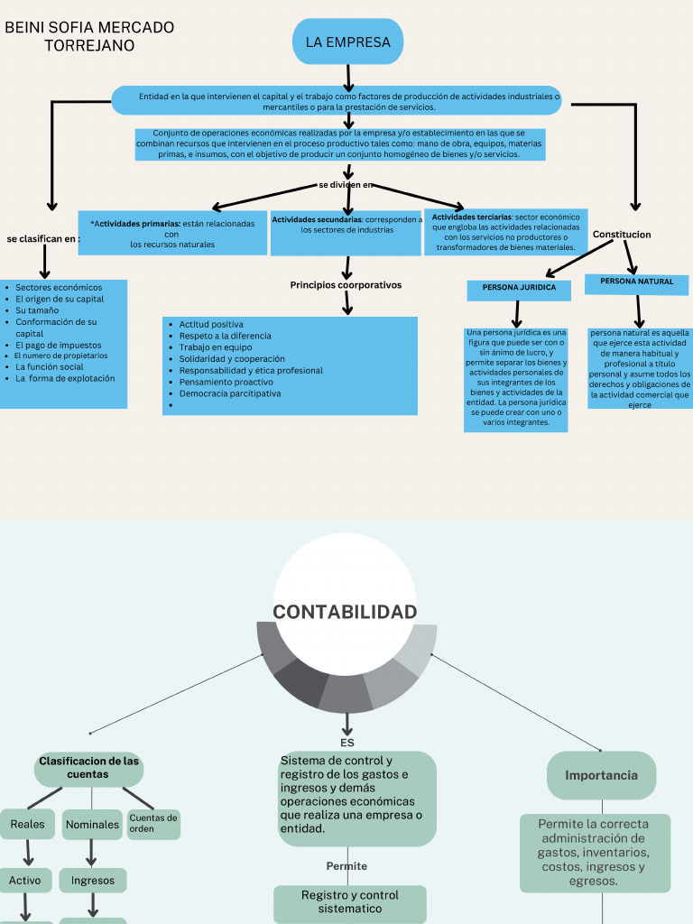 Mapas Conceptuales - BEINI SOFIA MERCADO TORREJANO | PDF
